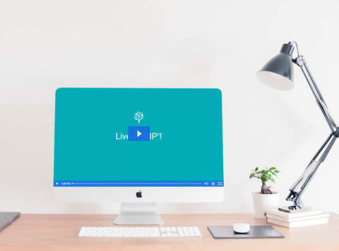 MIP Demos | Software Simplified